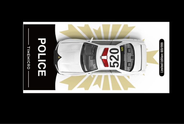 Timed Micro Skyline GTR R32 Police! • DiecastSociety.com